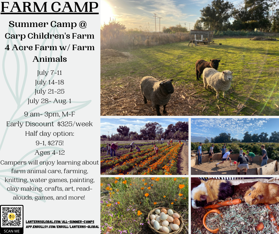 All Summer Camps — Lanterns Global- Learning Programs