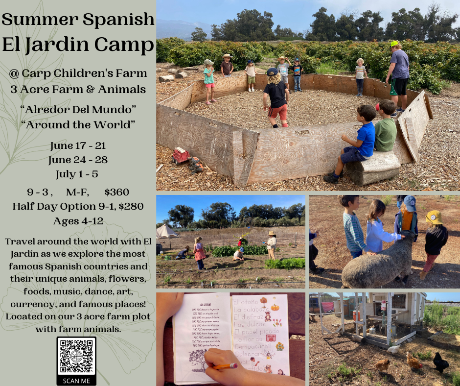 All Summer Camps — Lanterns Global- Learning Programs