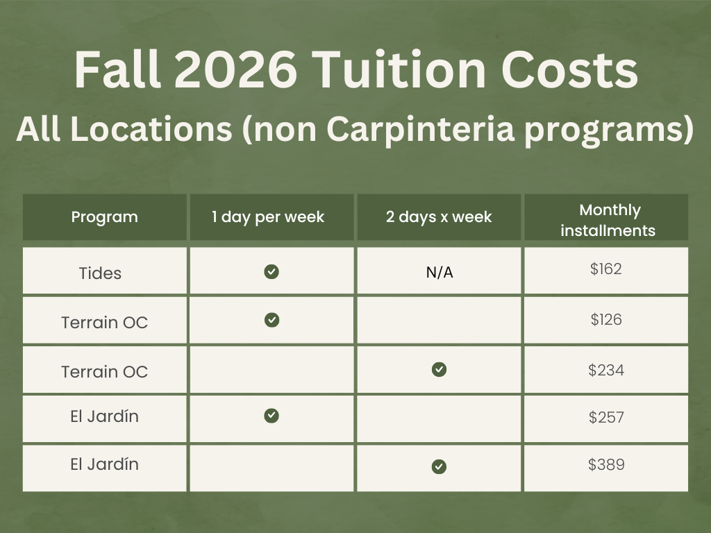 Tuition — Lanterns Global- Learning Programs