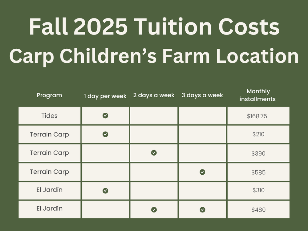 Tuition — Lanterns Global- Learning Programs