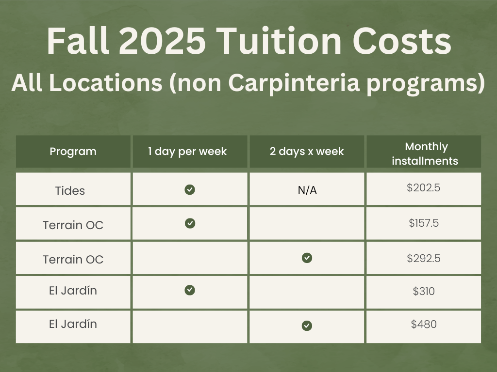 Tuition — Lanterns Global- Learning Programs