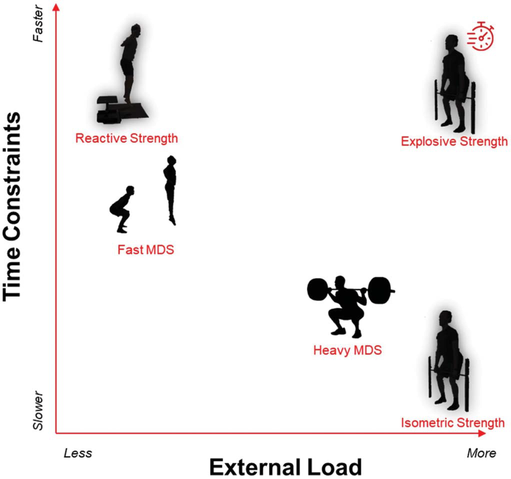 肌力的分類與診斷：Not All Strength Is Created Equal — Jeff Chen Sports X Nêsos