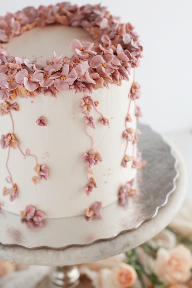 Hydrangeas — Rose Vanilla