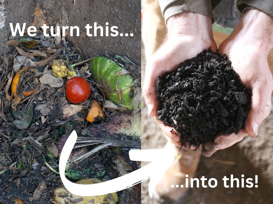 Introducing Everyday Compost! — PANORAMA PAYDIRT