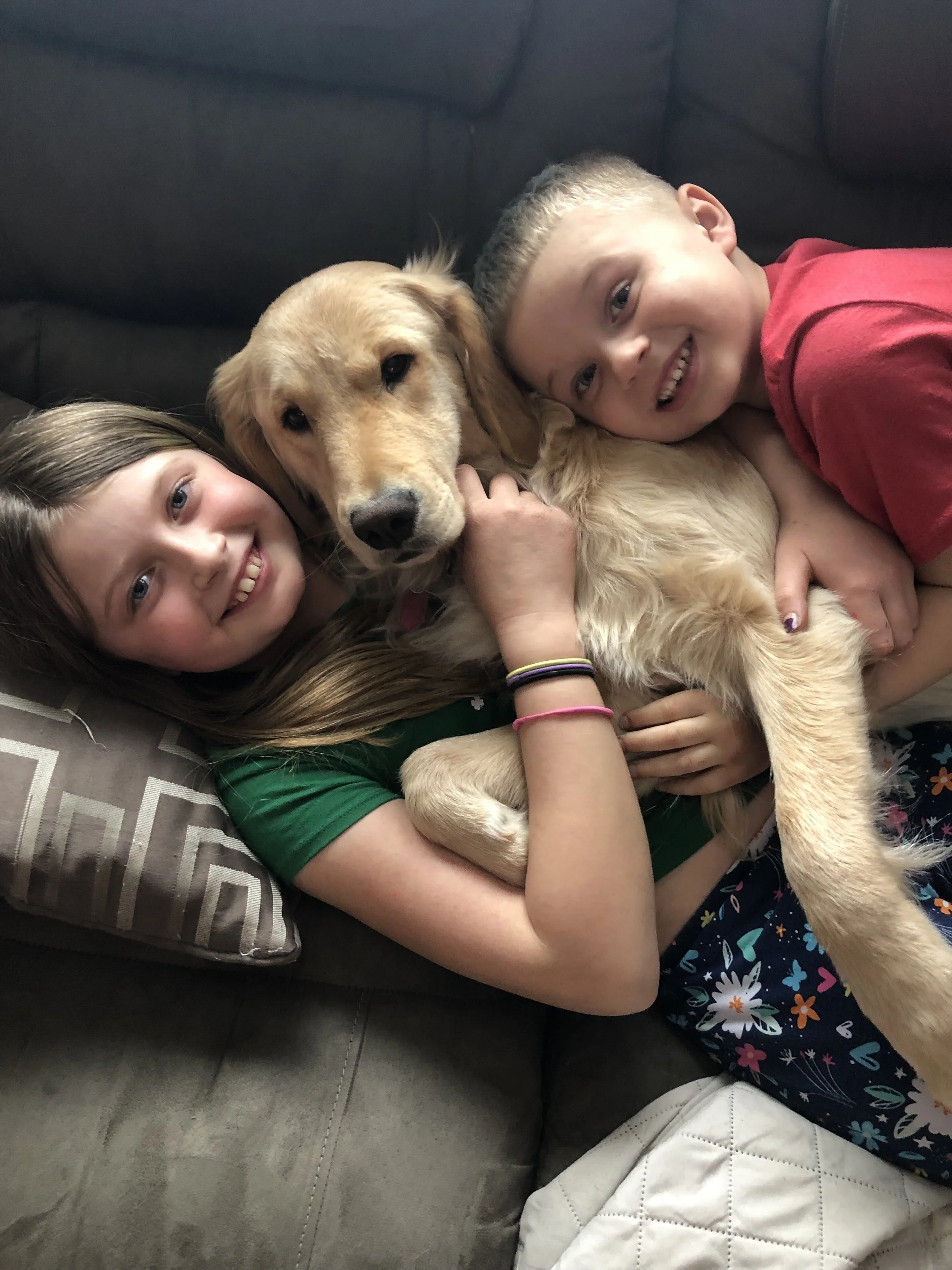 My Why — Danielle Kent