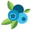 Blueberries — Alpine Fresh