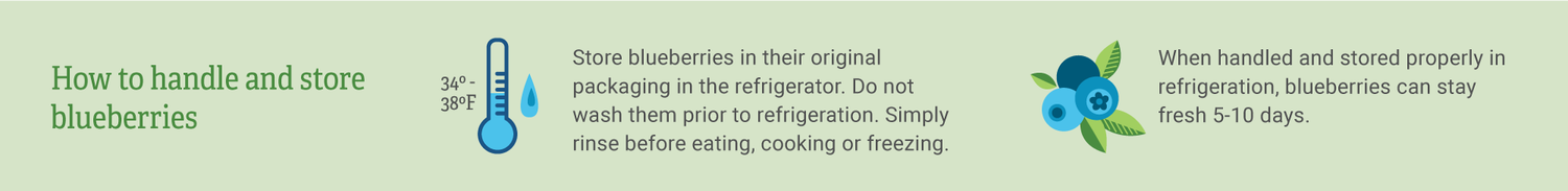 Blueberries — Alpine Fresh