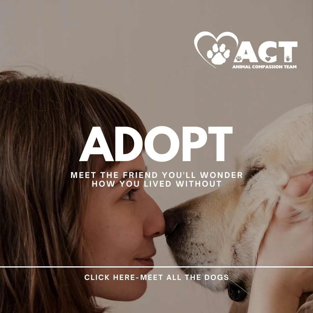 Animal Compassion Team