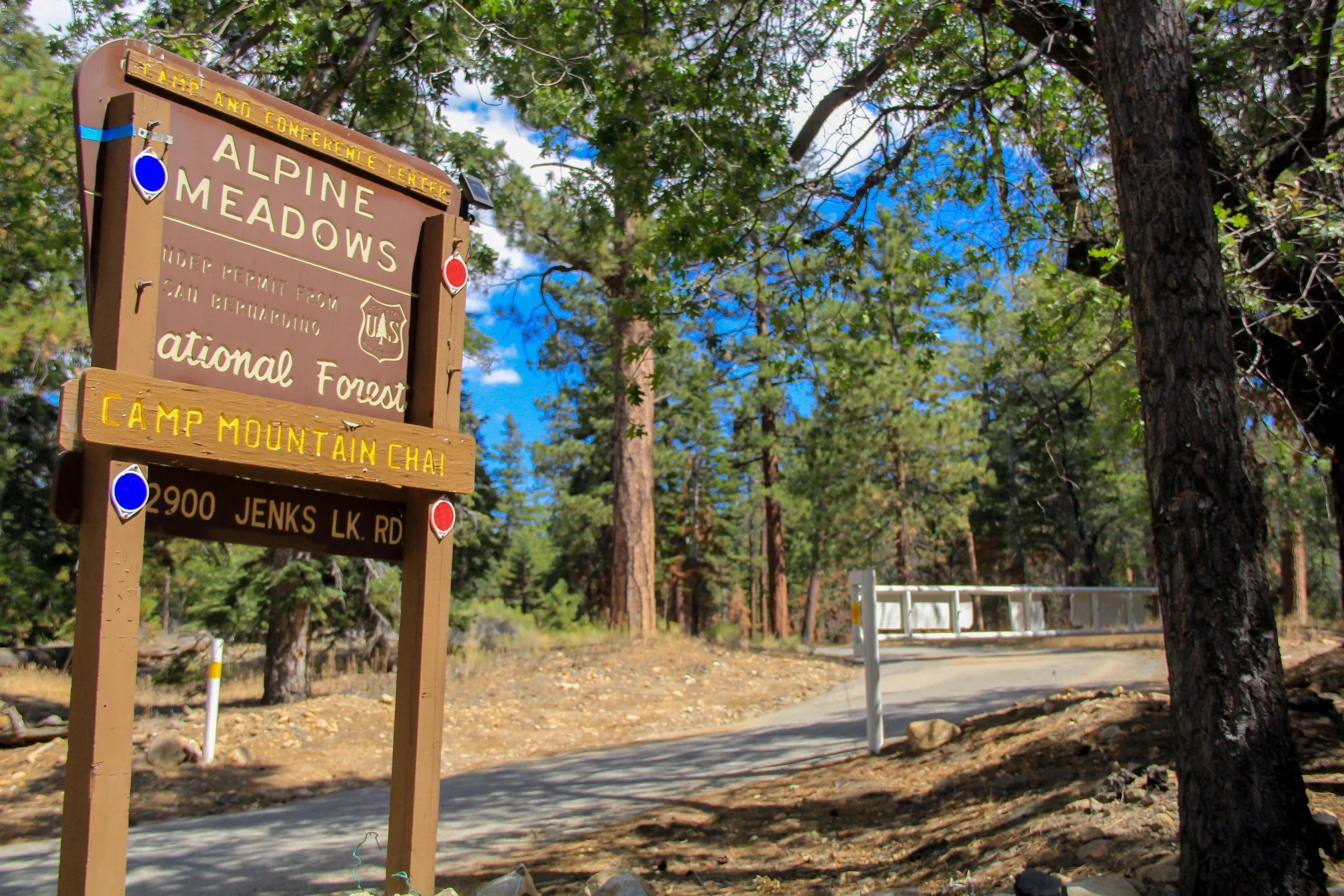 Dharma Punx Merch — Against The Stream Meditation Center