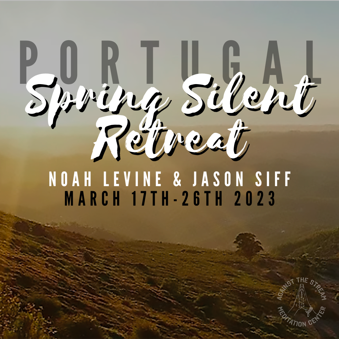 Dharma Punx Merch — Against The Stream Meditation Center