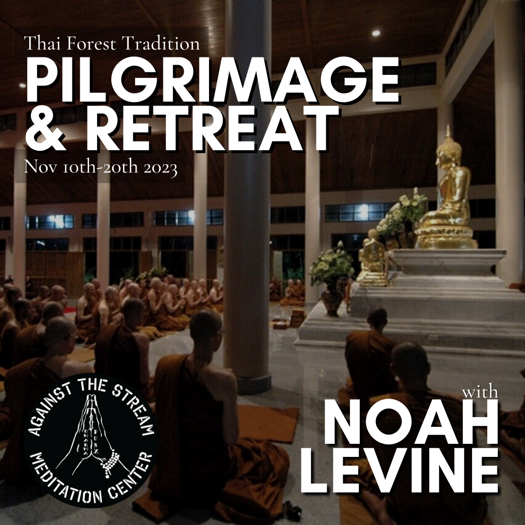 Dharma Punx Merch — Against The Stream Meditation Center