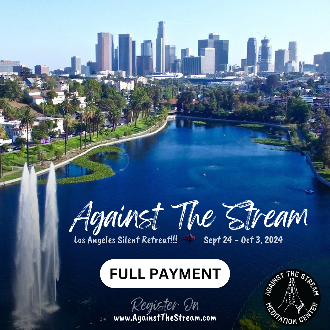 Dharma Punx Merch — Against The Stream Meditation Center