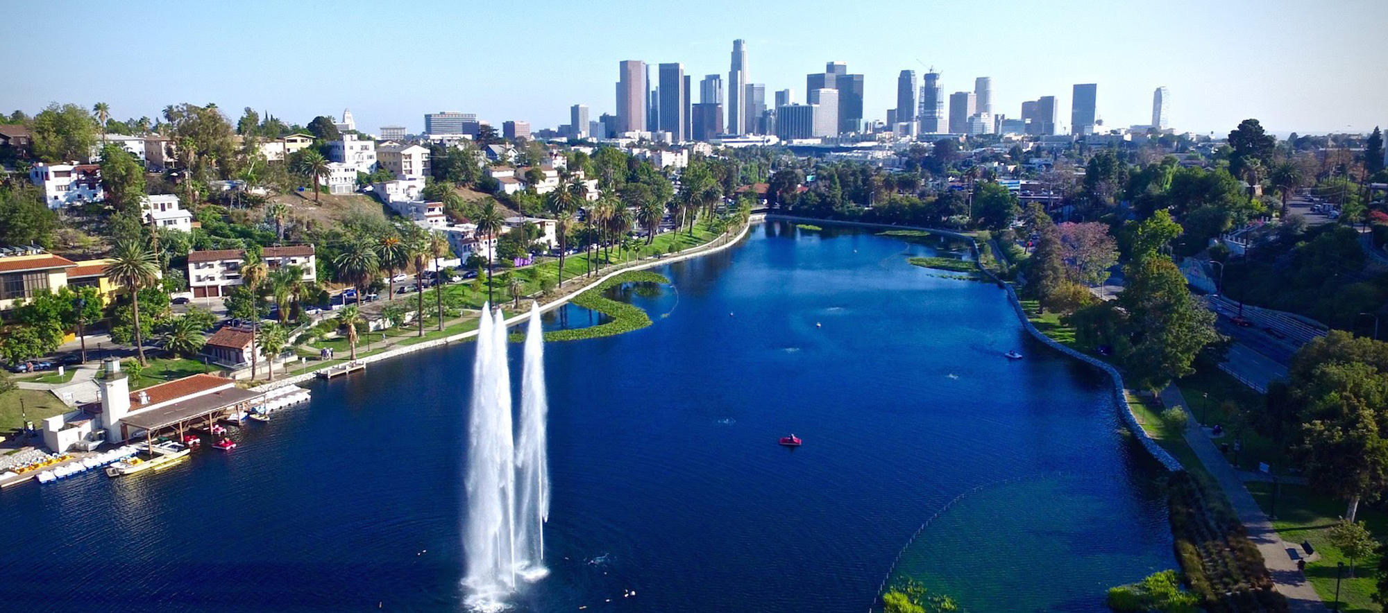 Dharma Punx Merch — Against The Stream Meditation Center