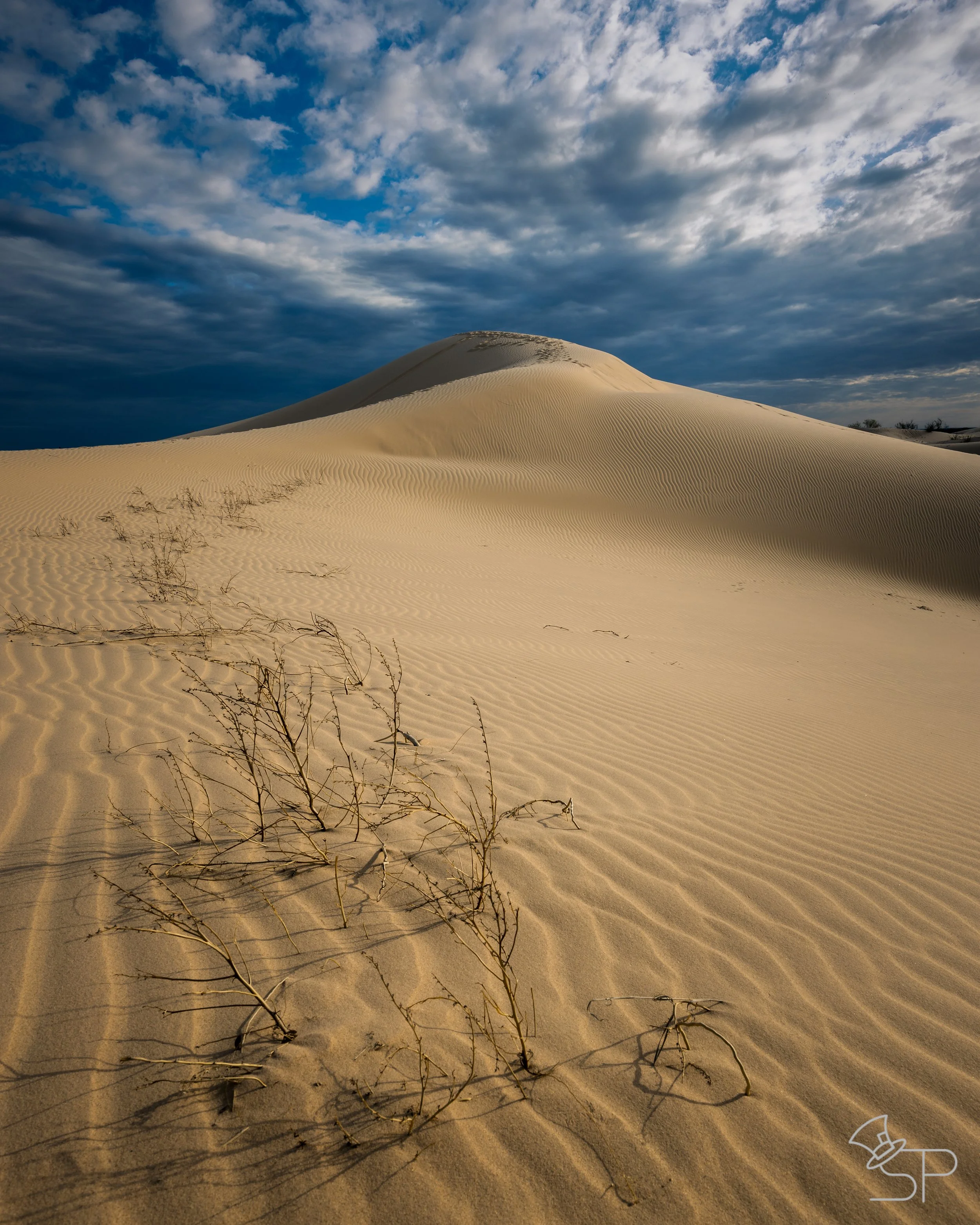 Calm Place (Monahans Sandhills) — Mad Hatter Photo