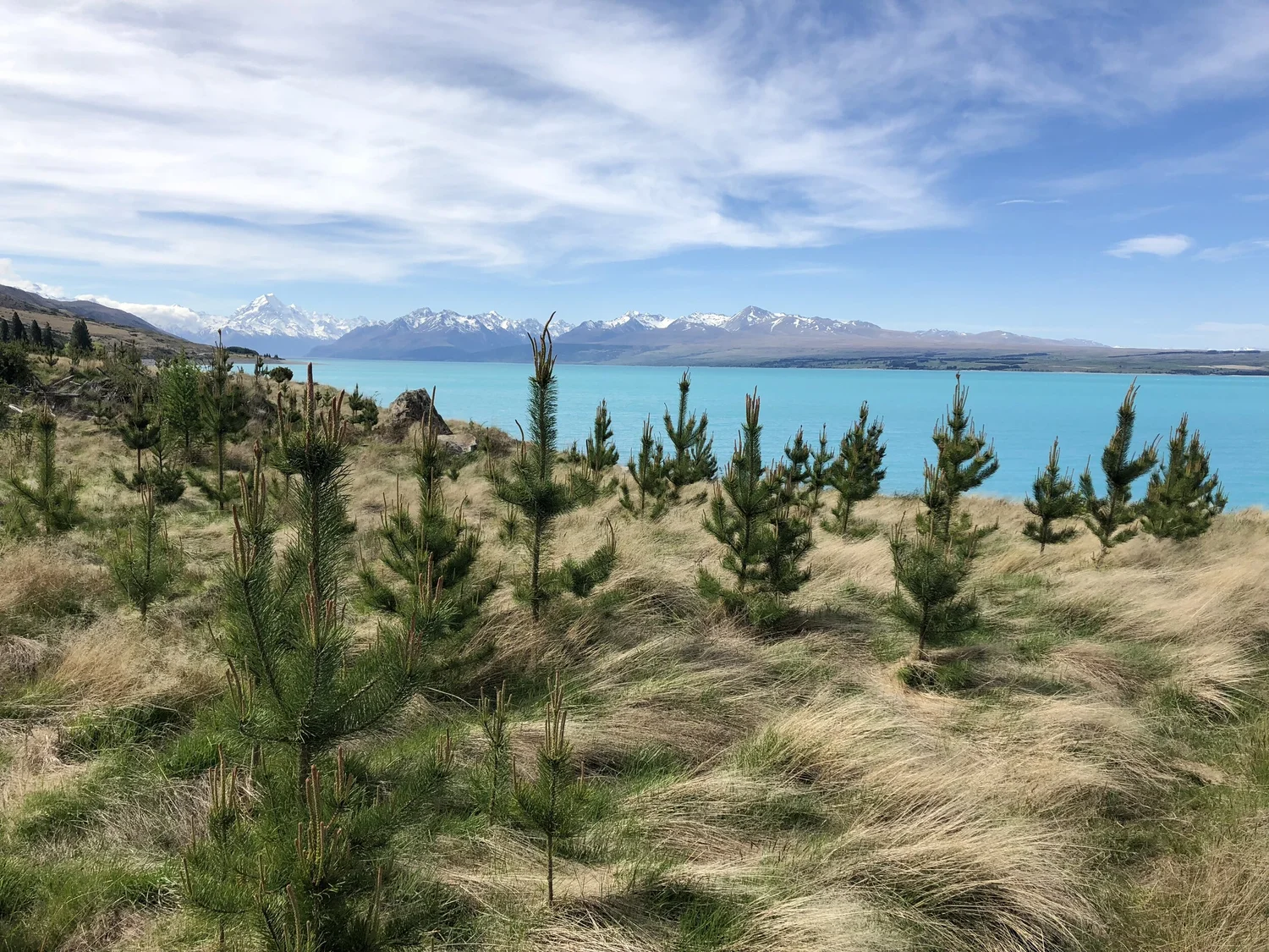 Mount Cook Village — Uproute Travel