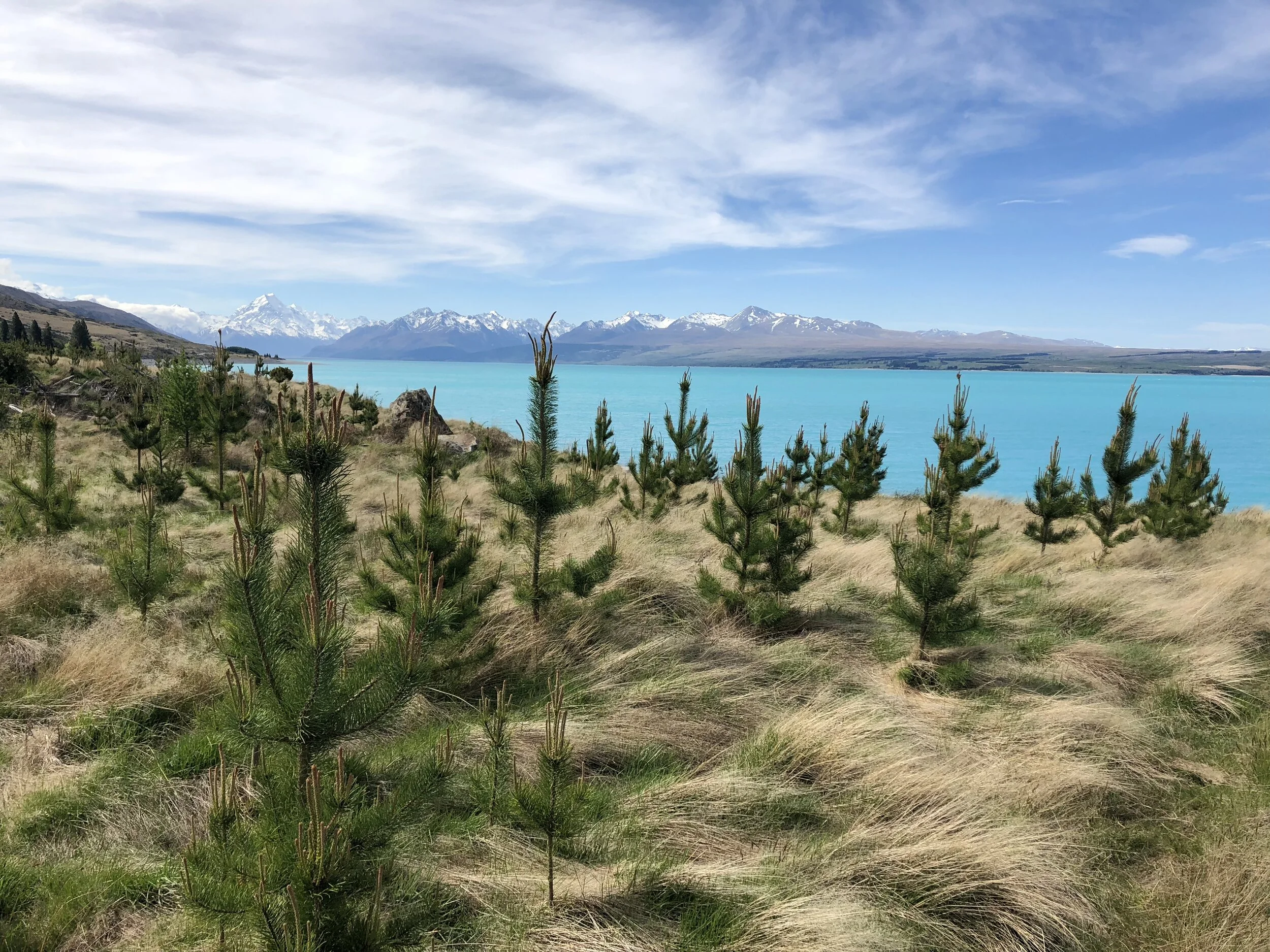 Mount Cook Village — Uproute Travel