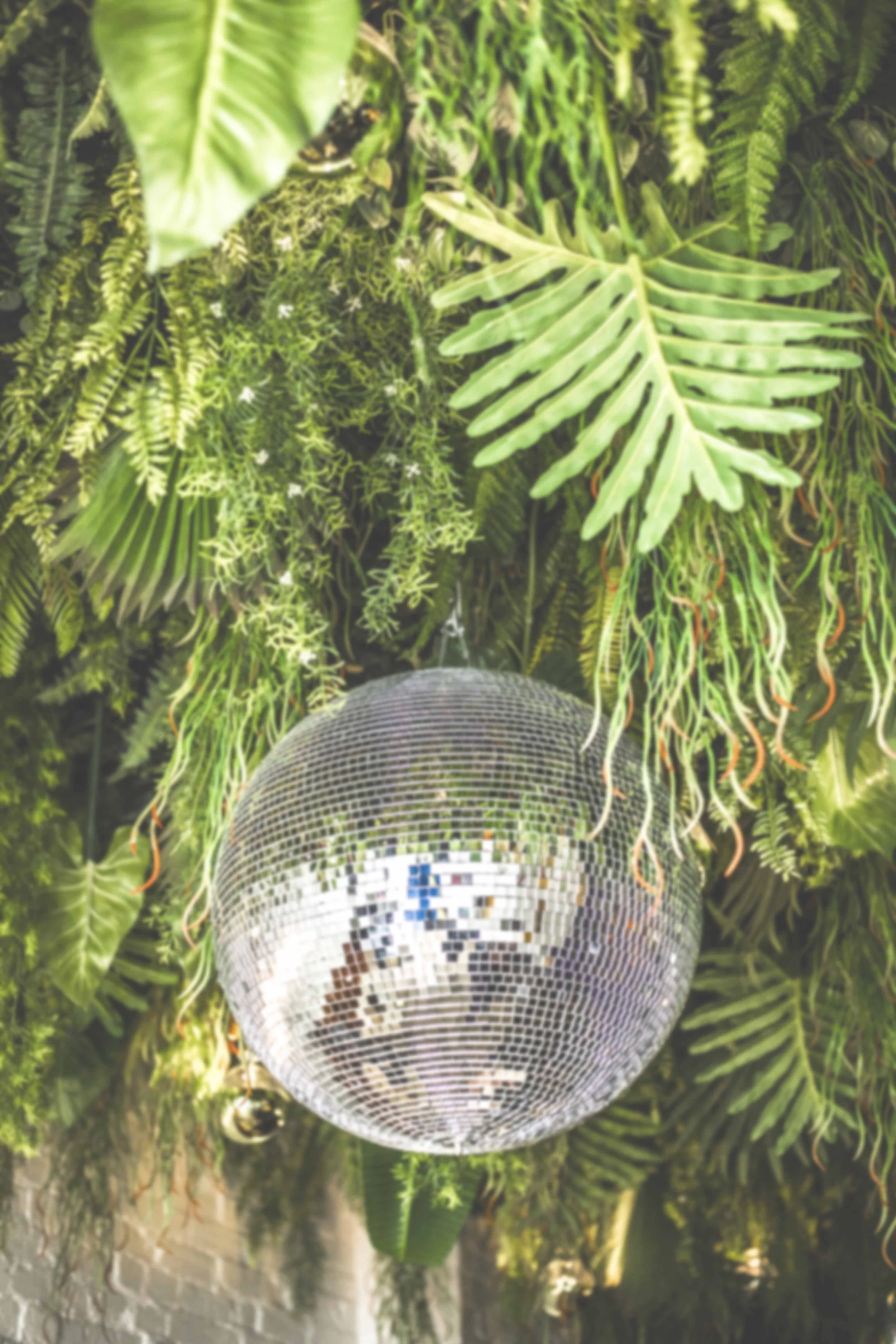 Groups of 8+ — Reyna on King — Corktown's Cocktail & Snack Bar