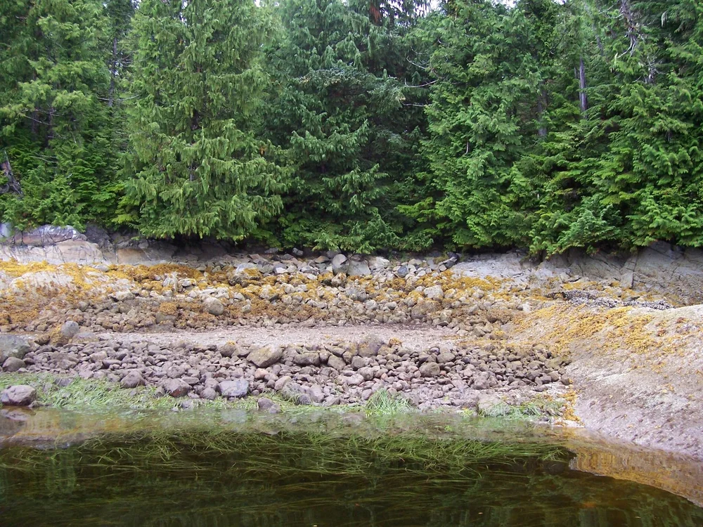 Clam Gardens — Sea Gardens Across the Pacific