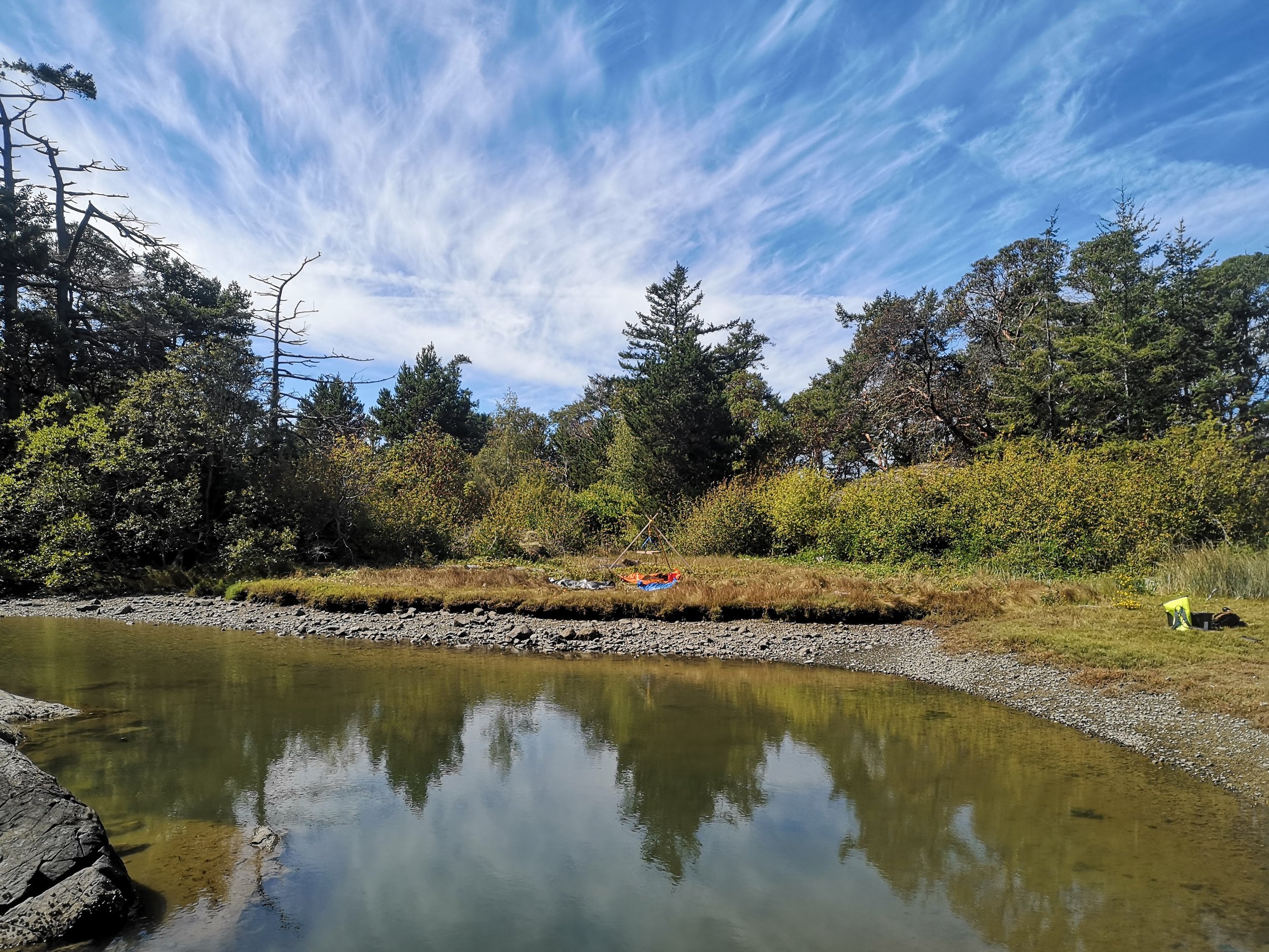 Root Gardens — Sea Gardens Across the Pacific