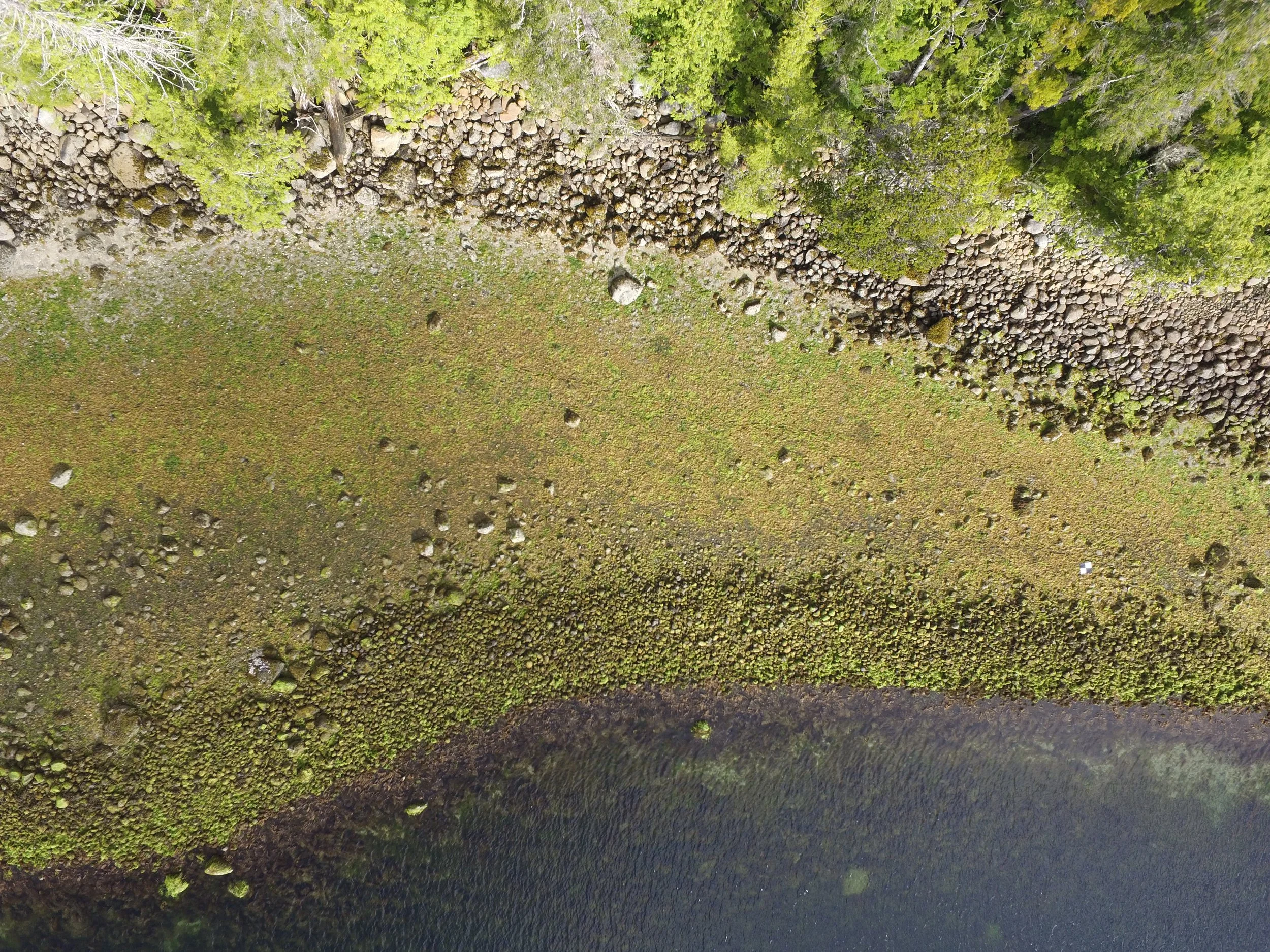 Clam Gardens — Sea Gardens Across the Pacific