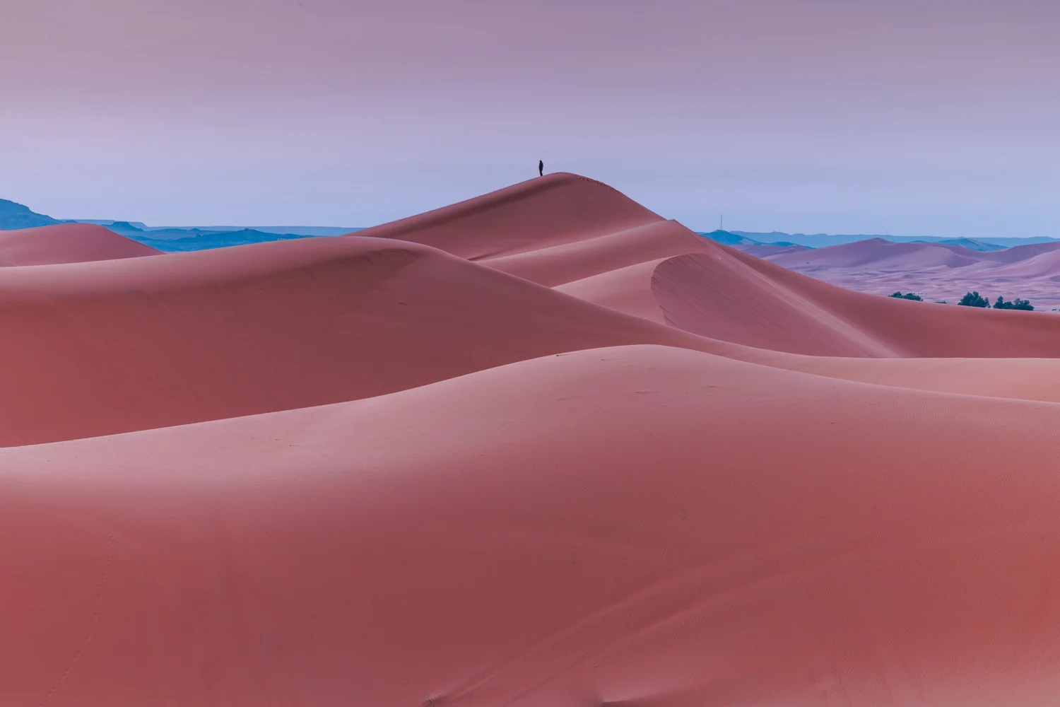 Capturing the Magic through the Sahara Dunes, Road Trip Between Fes and ...