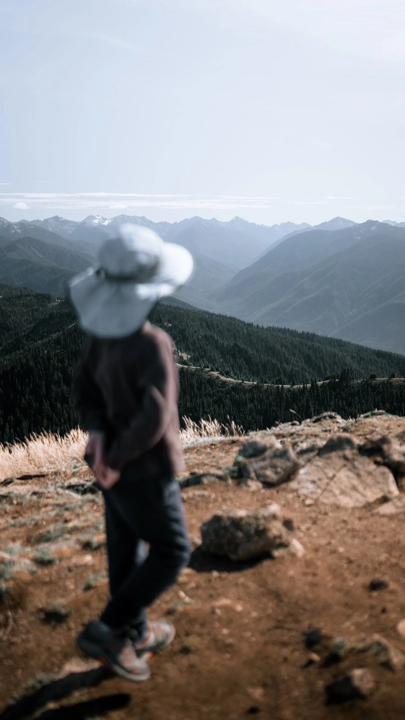 Top 5 custom buttons to speed up your photography workflow on Sony ...