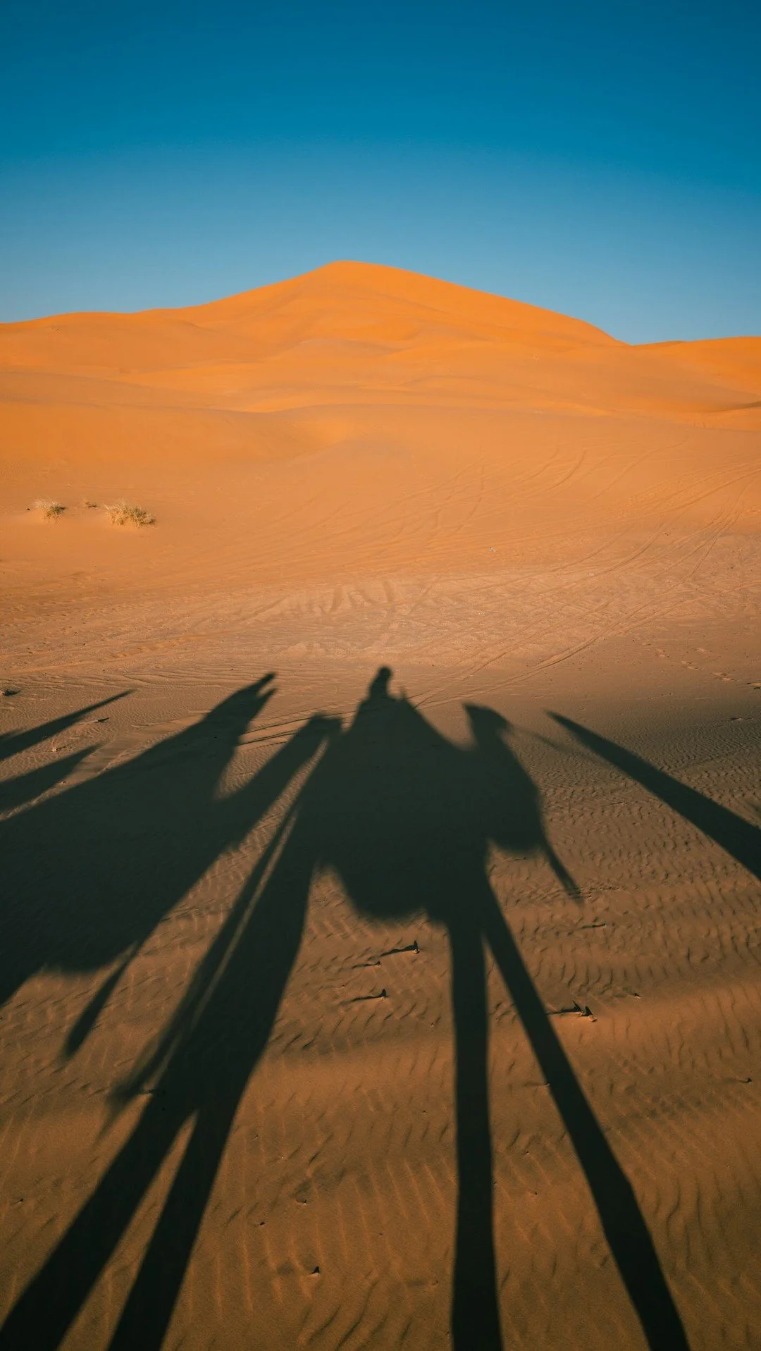 One Week Itinerary In Lofoten Islands In October (Part 3) | Belinda Shi ...