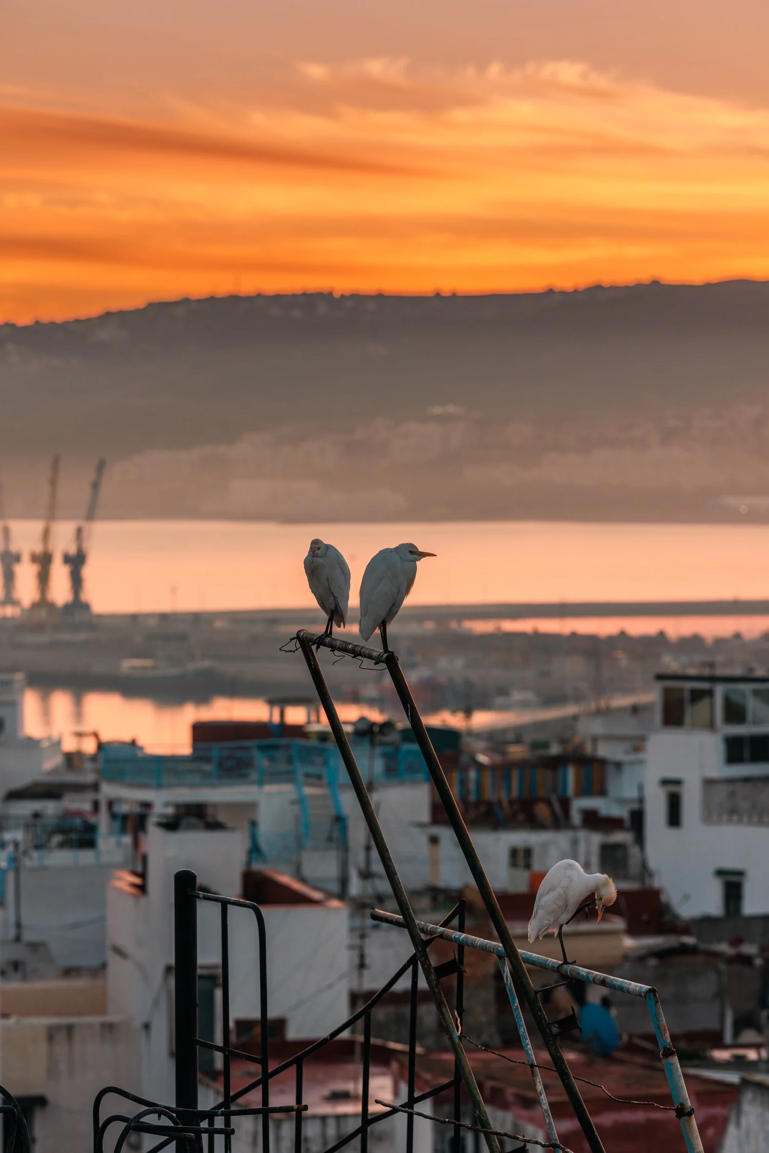 17-Day Road Trip Itinerary In Morocco - Part 1: Tangier, Chefchaouen ...