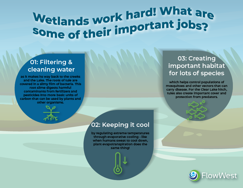 Highlights from the Big Valley Band of Pomo Indians’ Tule Boat Festival — FlowWest