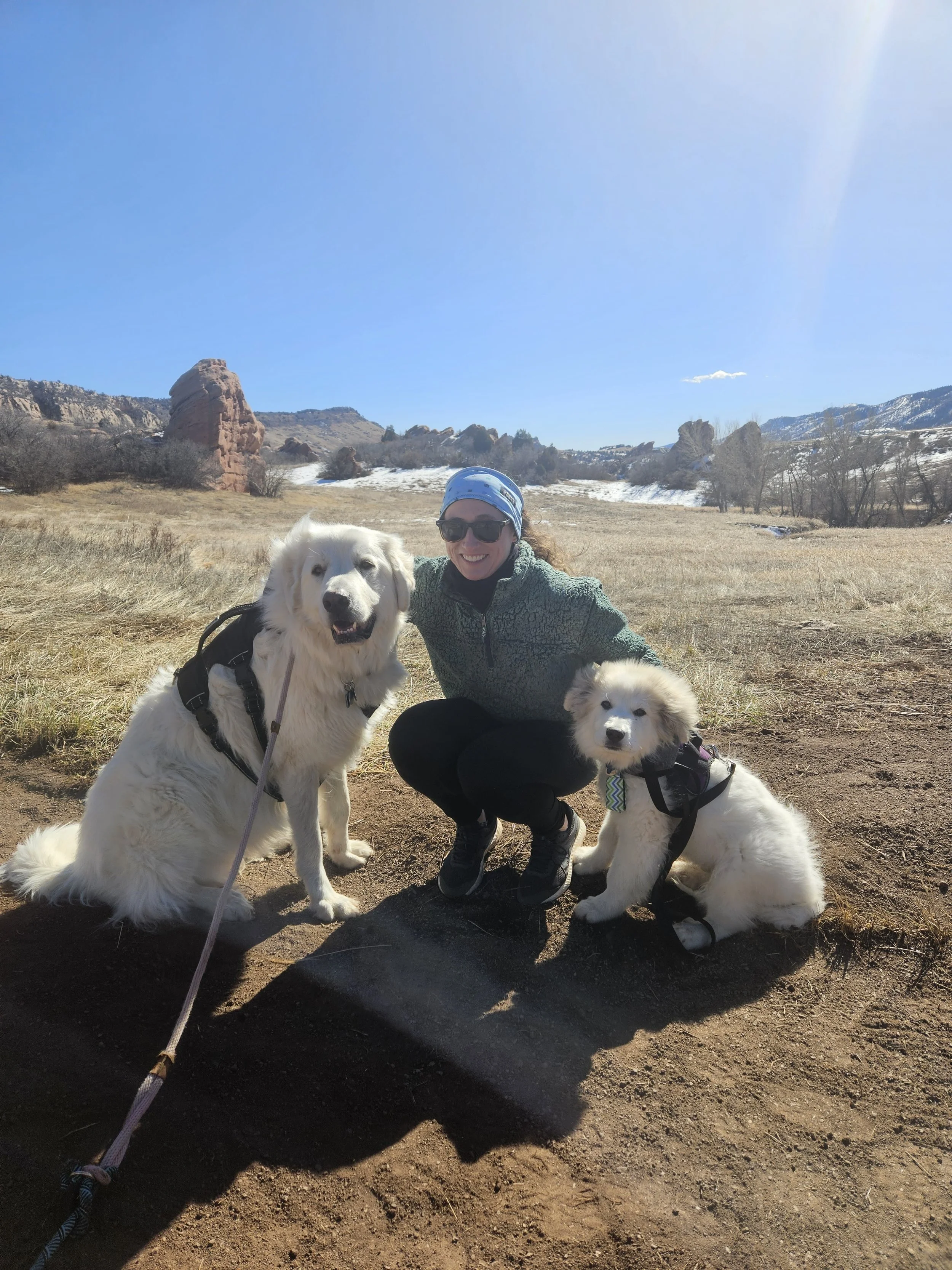 Go with the Flow: 2024 New Hires Edition — FlowWest