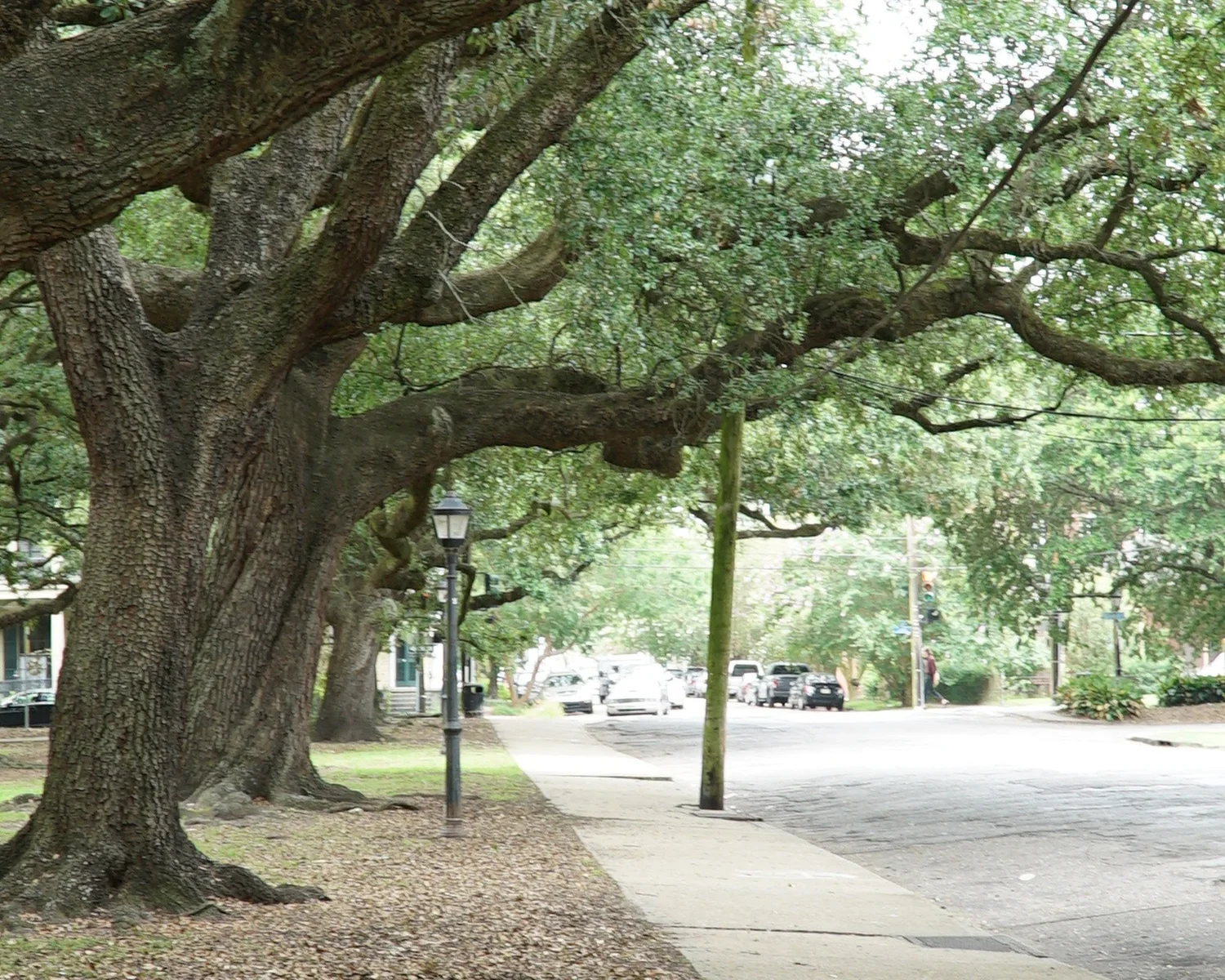 Lower Garden District: Coliseum Square Park — Creole Gardens