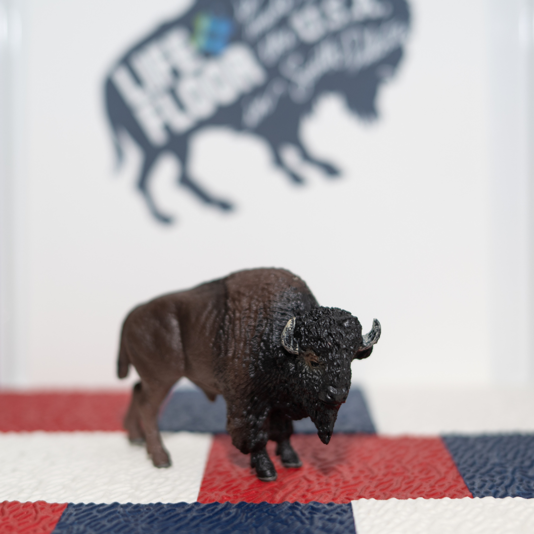 Life Floor: Made in the USA | Safer Aquatic Flooring with Sustainable ...
