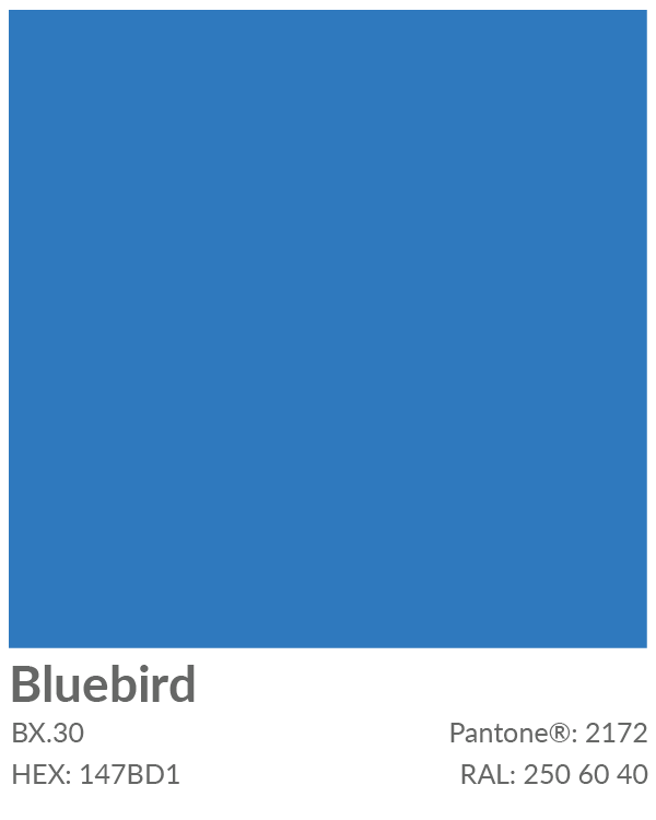 Water Park & Swimming Pool Theme Ideas — Life Floor