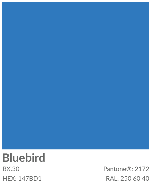 Water Park & Swimming Pool Theme Ideas — Life Floor