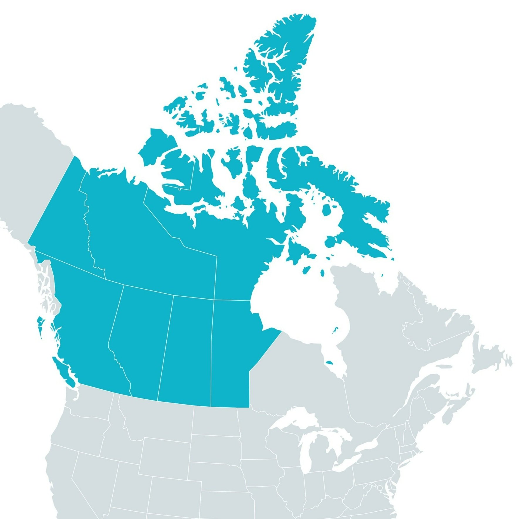 Our International Team — Life Floor