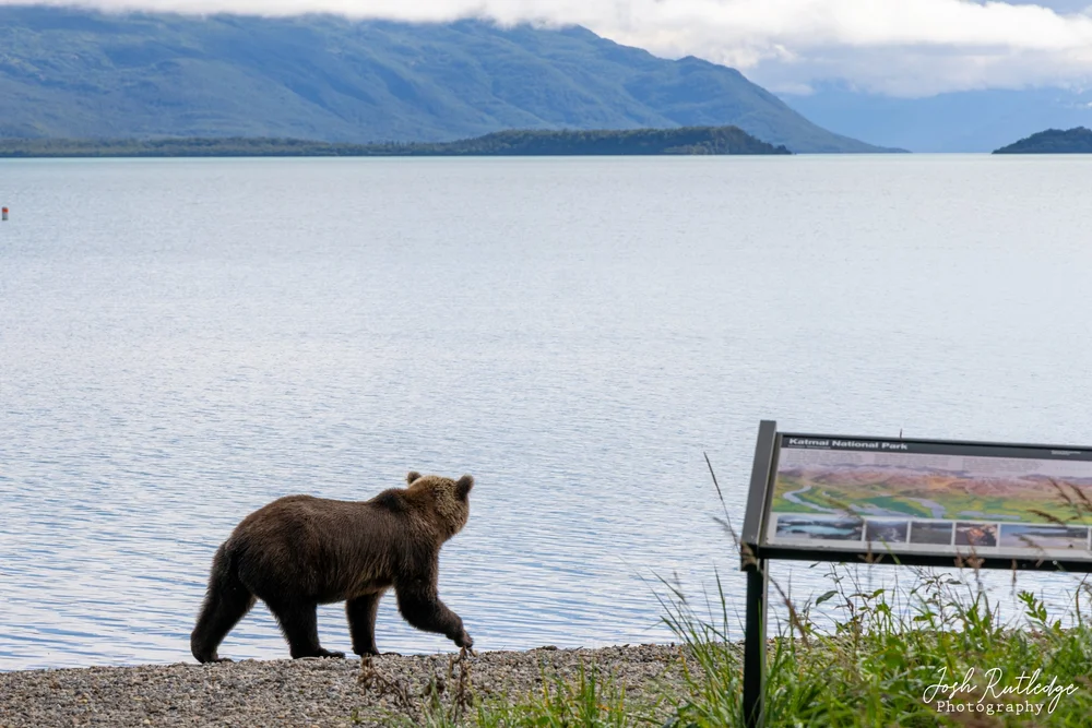 Katmai National Park and Preserve — Josh Rutledge Photography