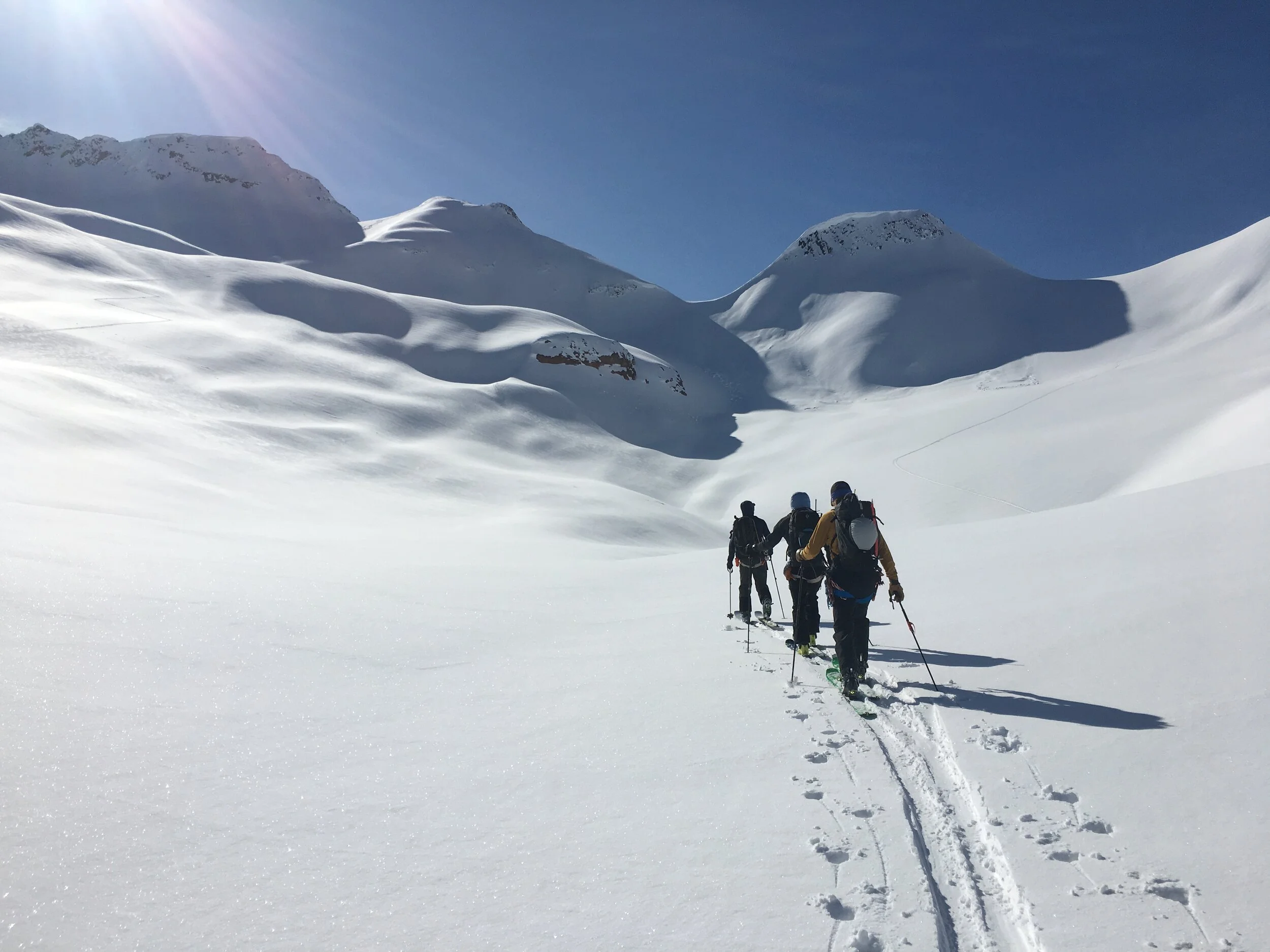Wapta Traverse Ski Tour — Cloudripper Mountain Guides