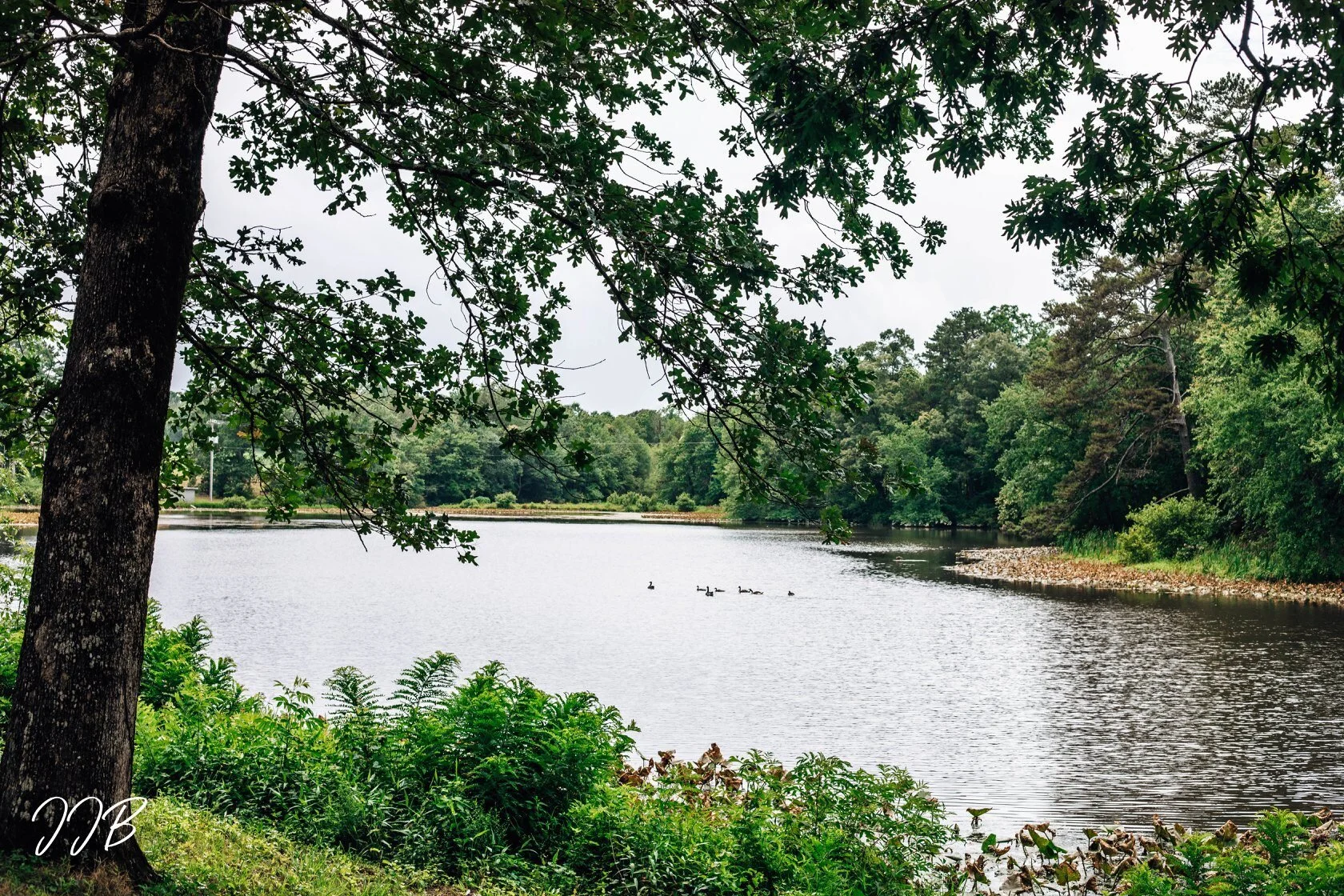 Conover, North Carolina City Guide — Trippin' Southern Style