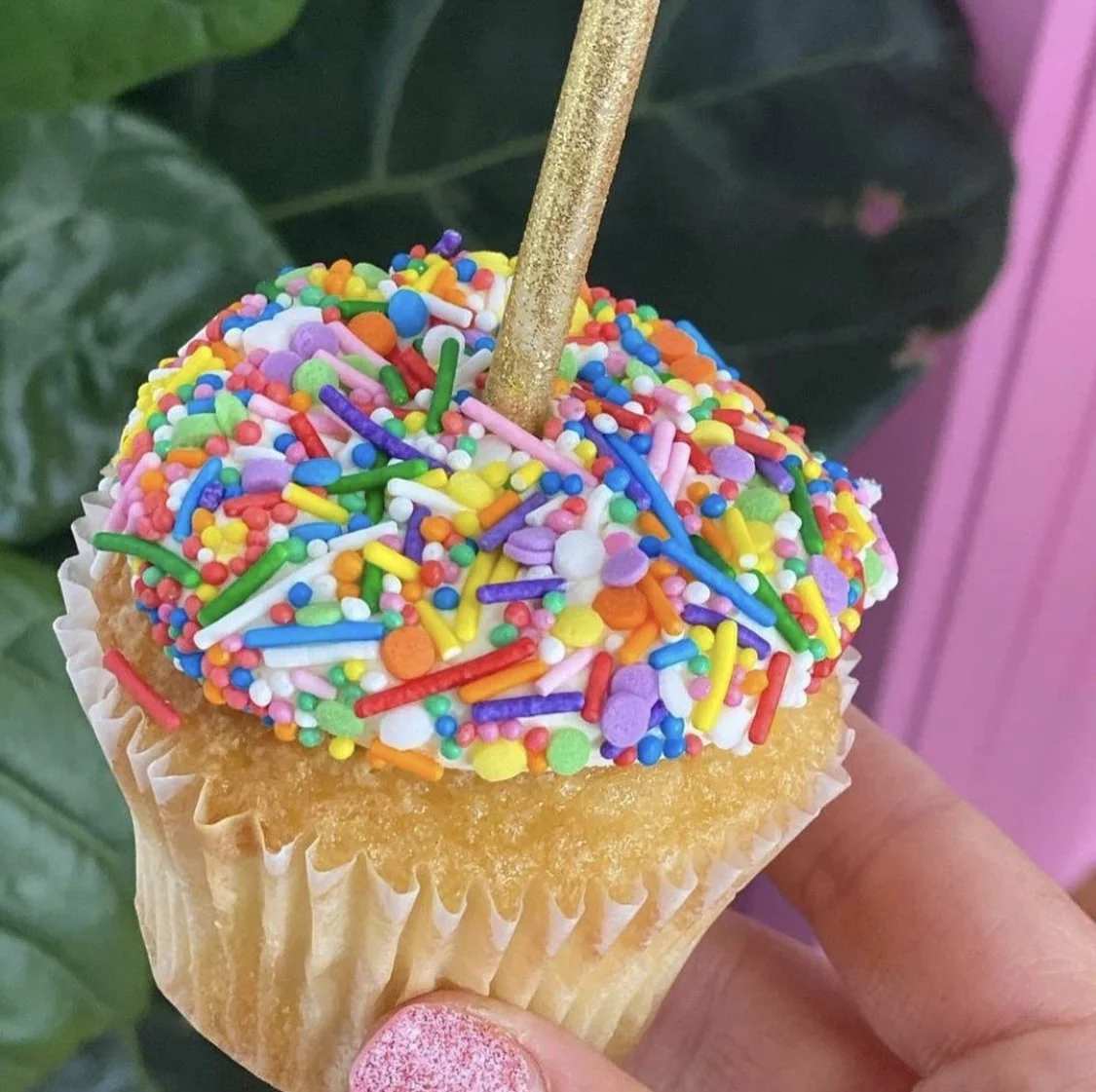 BBU Treat Boxes — Baked by Us