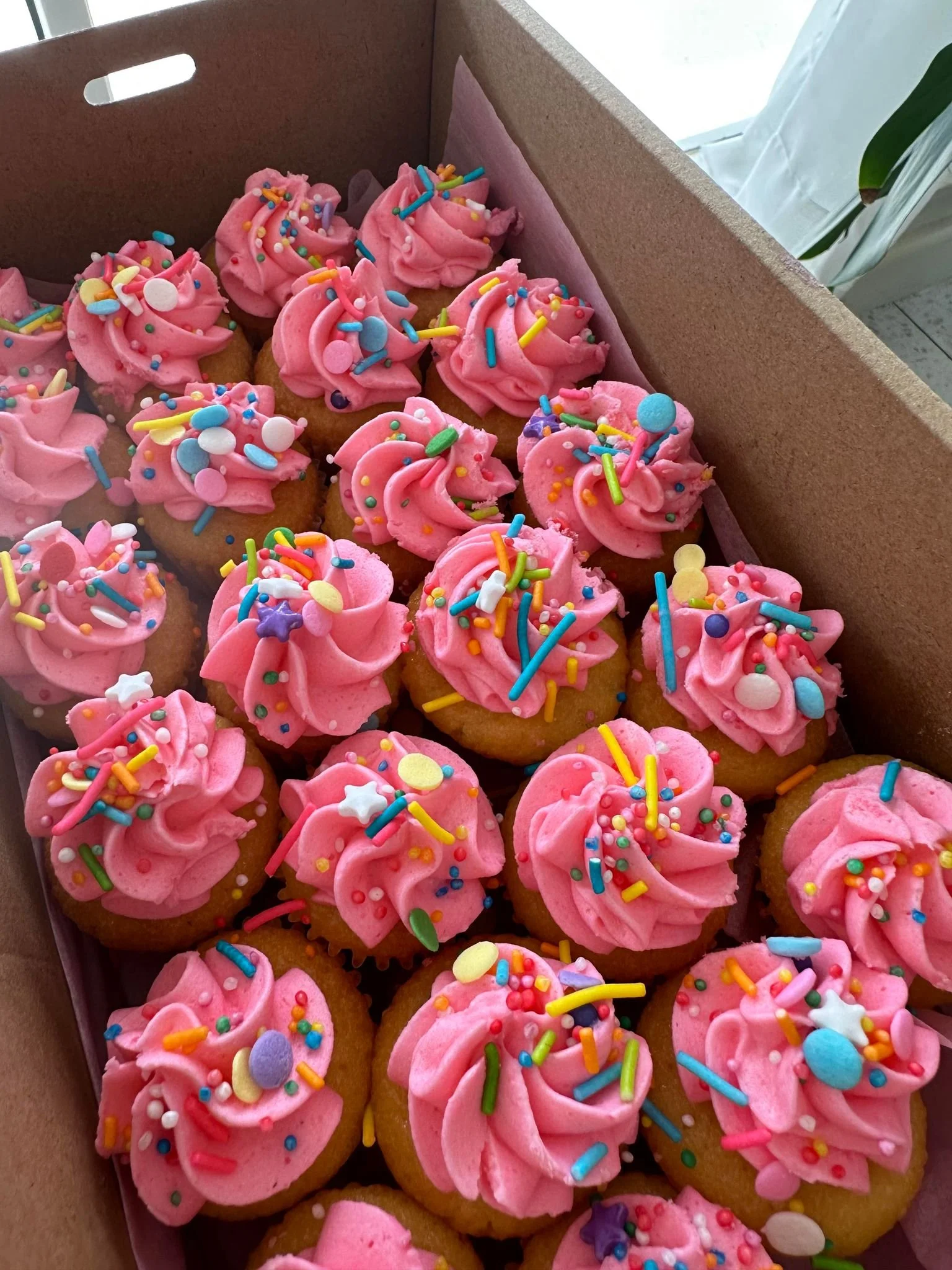 Mini Cuppies — Baked by Us