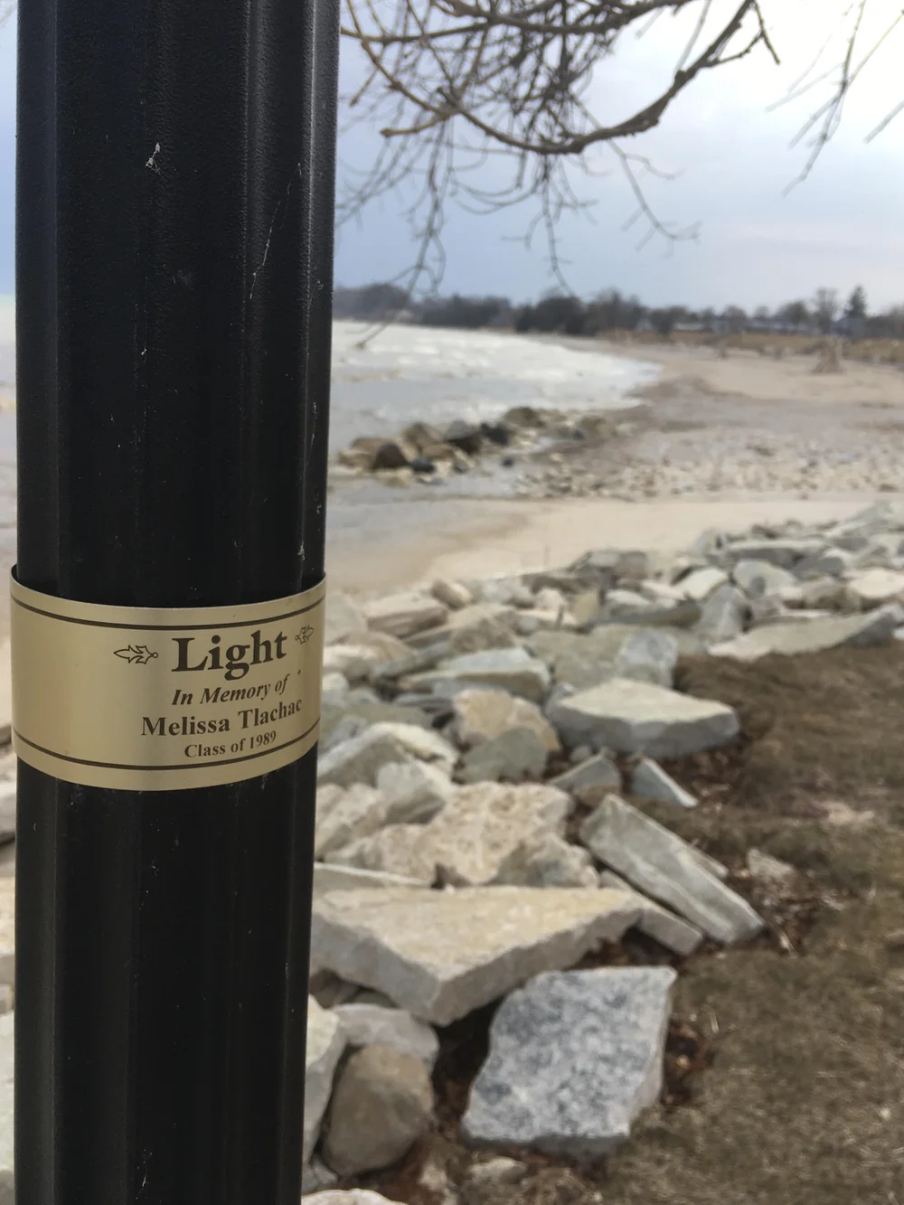 Melissa Tlachac Memorial — Friends of Crescent Beach