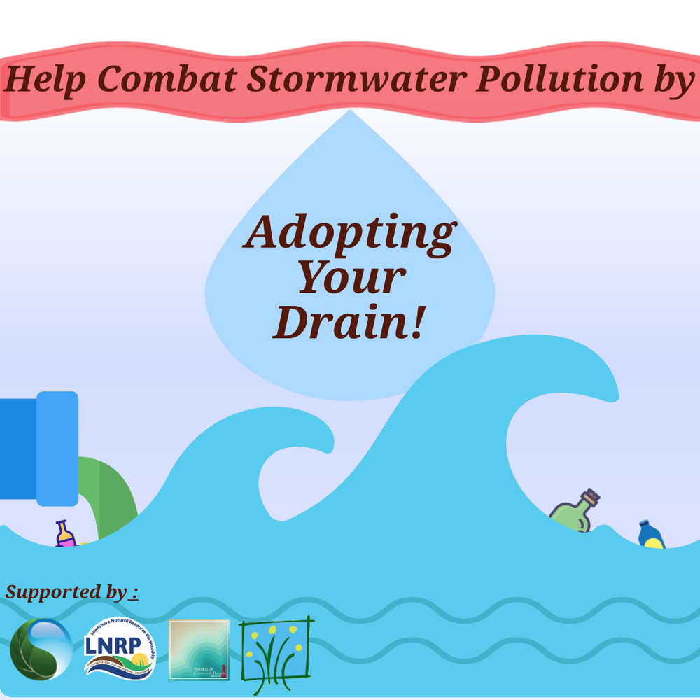 Adopt Your Drain — Friends of Crescent Beach