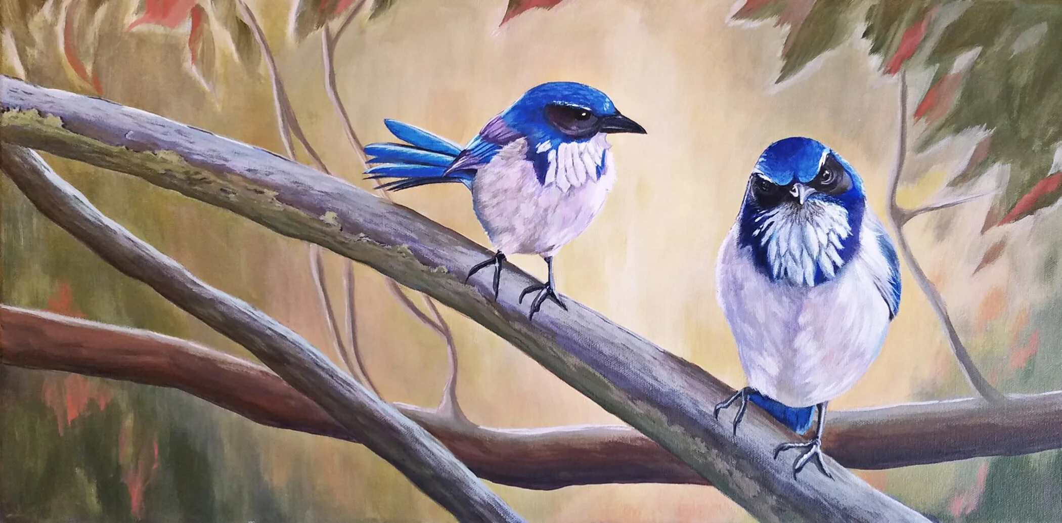 "Everyday Inspiration!", an artist show by Ann Thompson — Lompoc Valley ...