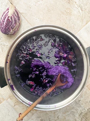 How to Dye with Red Cabbage — Zuahaza – Luxe Home Textiles