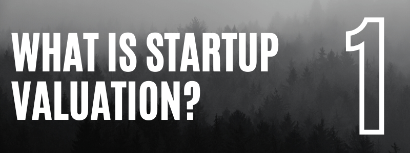 The Definitive Guide To Startup Valuation | Finro Financial Consulting