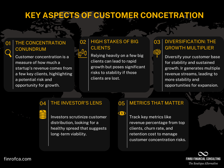 Understanding Customer Concentration in Tech Startups | Finro