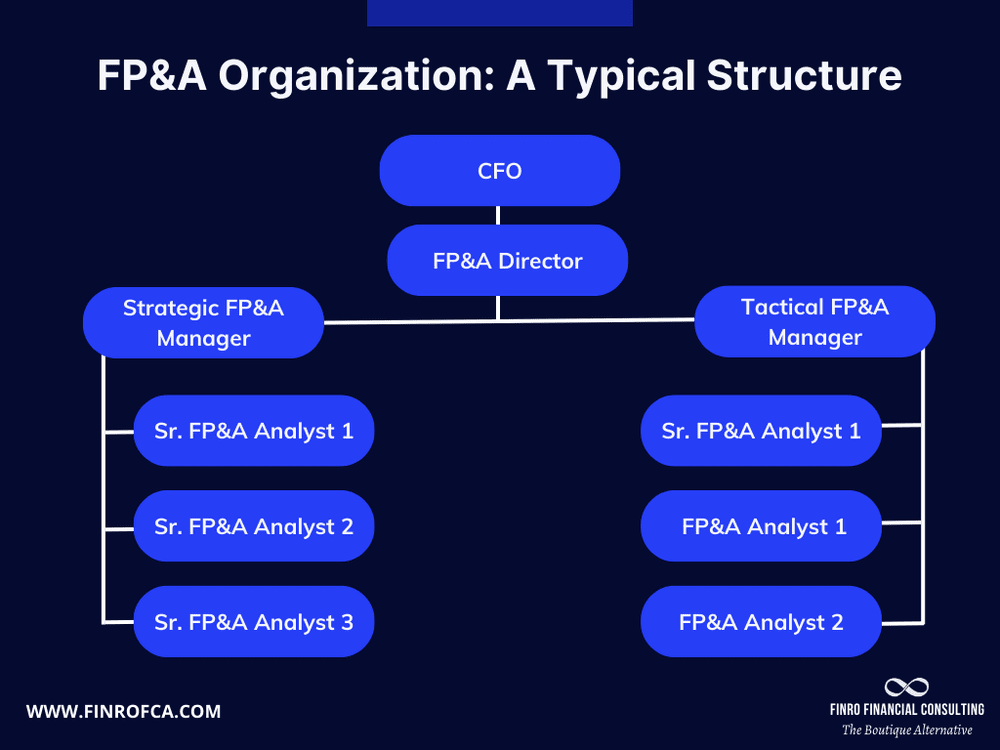 Navigating Financial Challenges: FP&A for Startups | Finro Financial Consulting