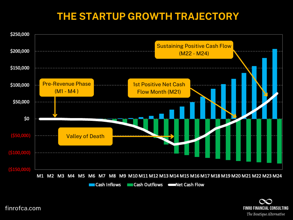 What is Cash Flow Positive? | Finro Financial Consulting