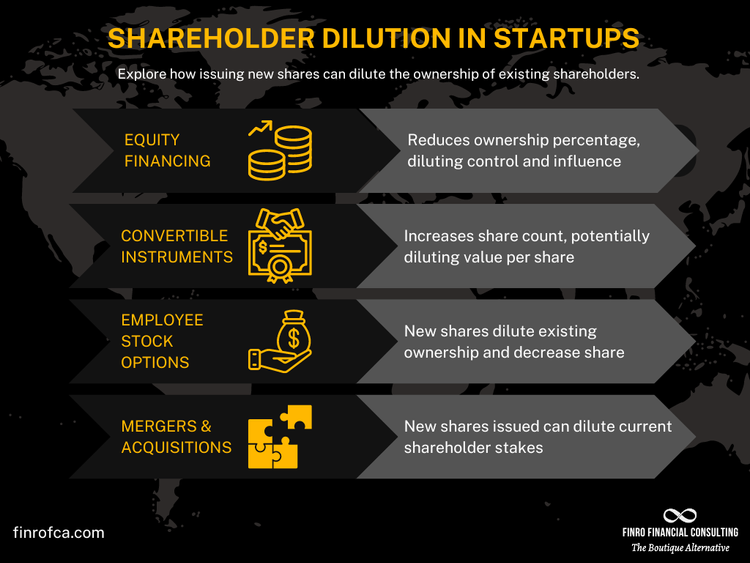 The Startup's Guide to Financing Rounds and Equity Dilution | Finro