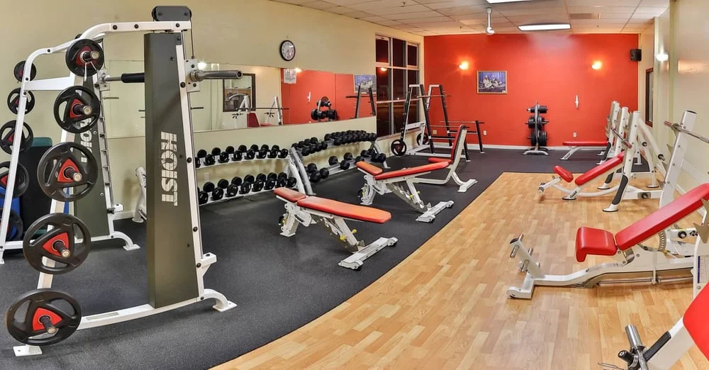 Take a Tour — Toadal Fitness